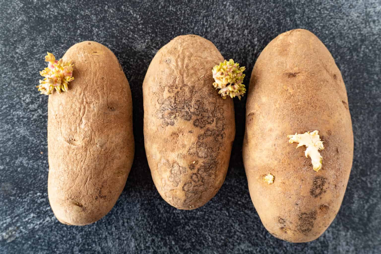 How to tell if potatoes are bad? | Spots, Green, Soft, Wrinkled?