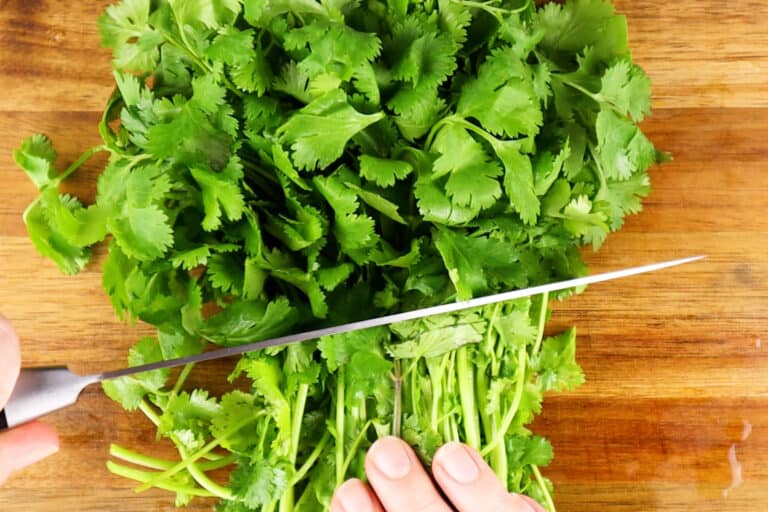 How to chop cilantro | 3 easy steps for the perfect garnish!