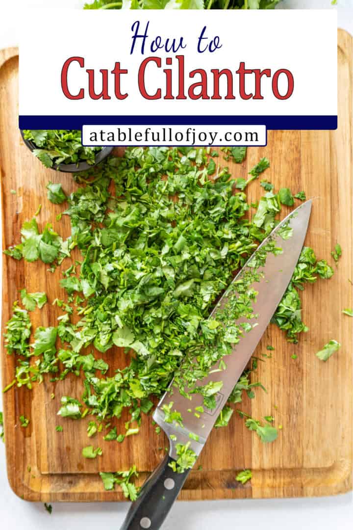 How to chop cilantro | 3 easy steps for the perfect garnish!