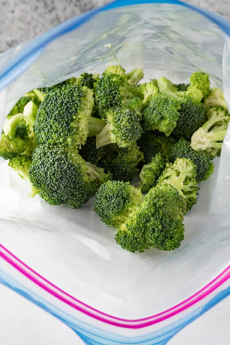How To Freeze Broccoli | Easy, Fast, and Simple with all my Tips!