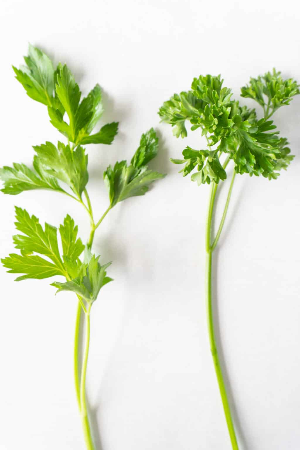 How to Chop Parsley- Step By Step Guide + VIDEO