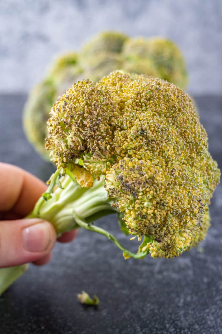 How to Tell if Broccoli is Bad? All the Facts + Example Pictures!