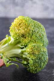 How to Tell if Broccoli is Bad? All the Facts + Example Pictures!