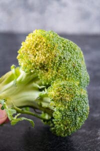 How to Tell if Broccoli is Bad? All the Facts + Example Pictures!