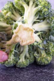 How to Tell if Broccoli is Bad? All the Facts + Example Pictures!