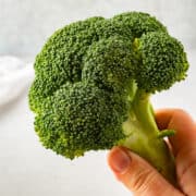 How to Tell if Broccoli is Bad? All the Facts + Example Pictures!