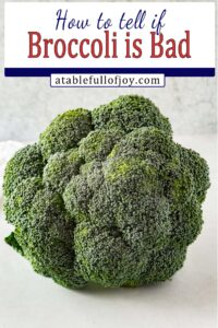 How to Tell if Broccoli is Bad? All the Facts + Example Pictures!