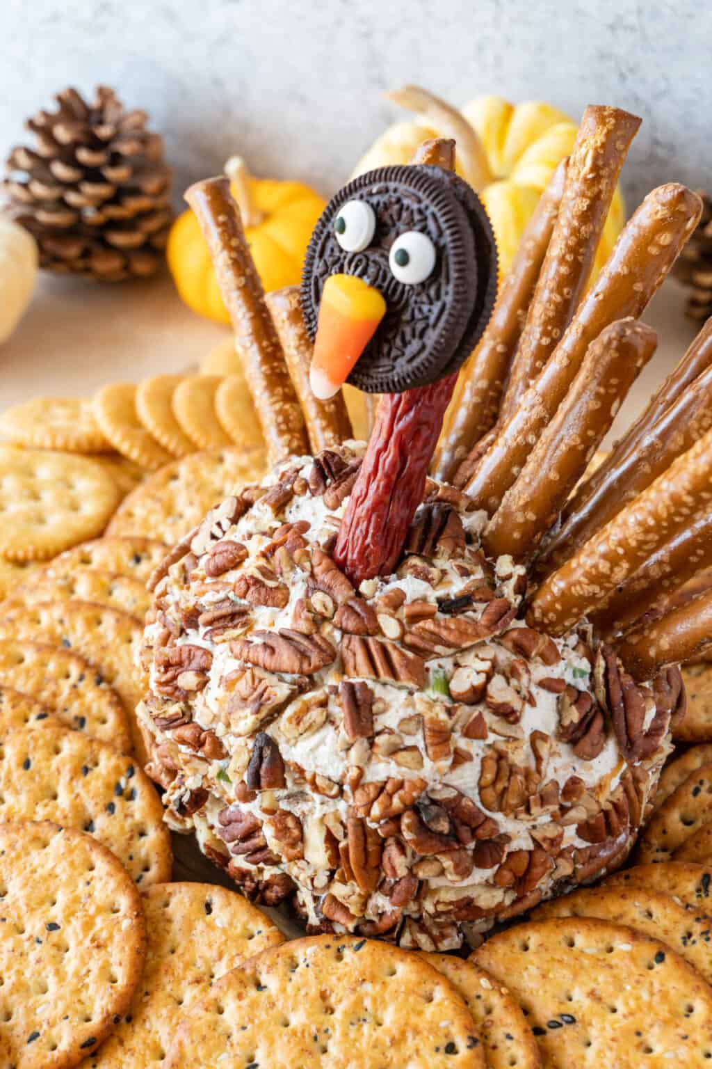 Turkey Cheese Ball • A Table Full Of Joy