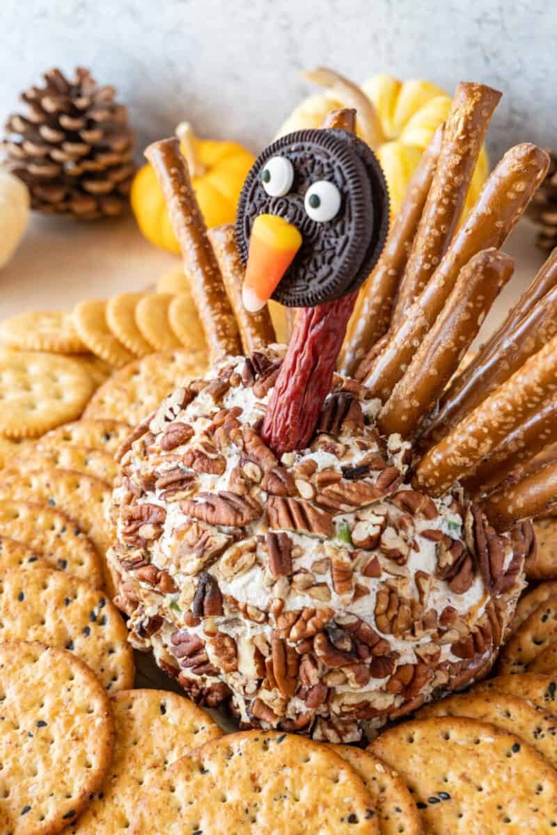 Turkey Cheese Ball • A Table Full Of Joy