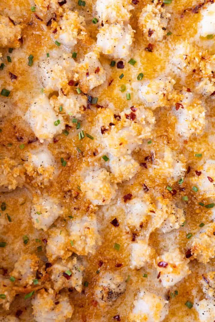 The BEST Baked Scallops- Crunchy and Buttery! • A Table Full Of Joy