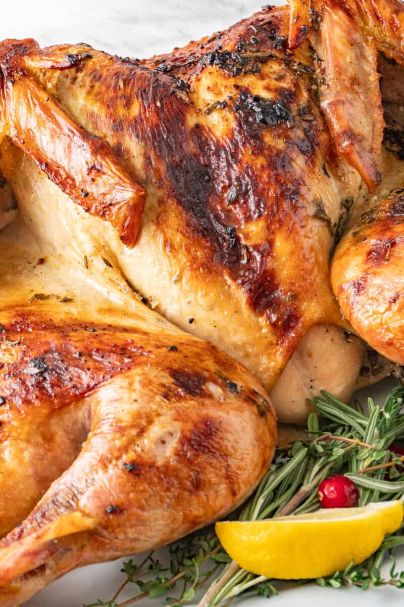 How to Spatchcock a Turkey • A Table Full Of Joy